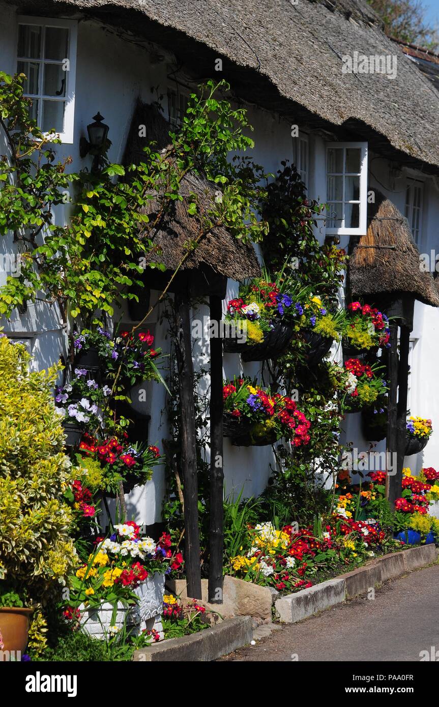 Thatched cottage in summer Stock Photo - Alamy