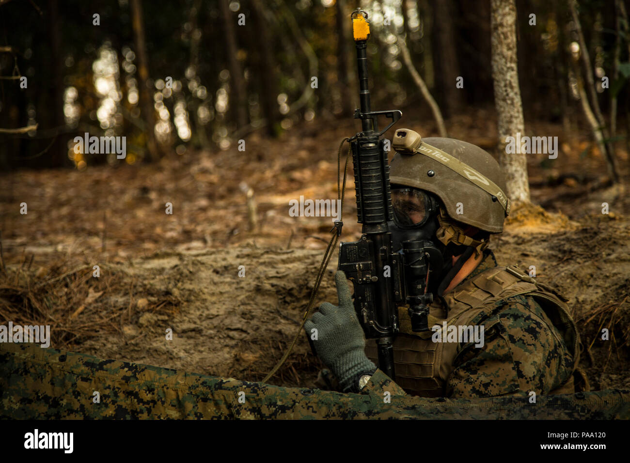 Fmtb east hi-res stock photography and images - Alamy