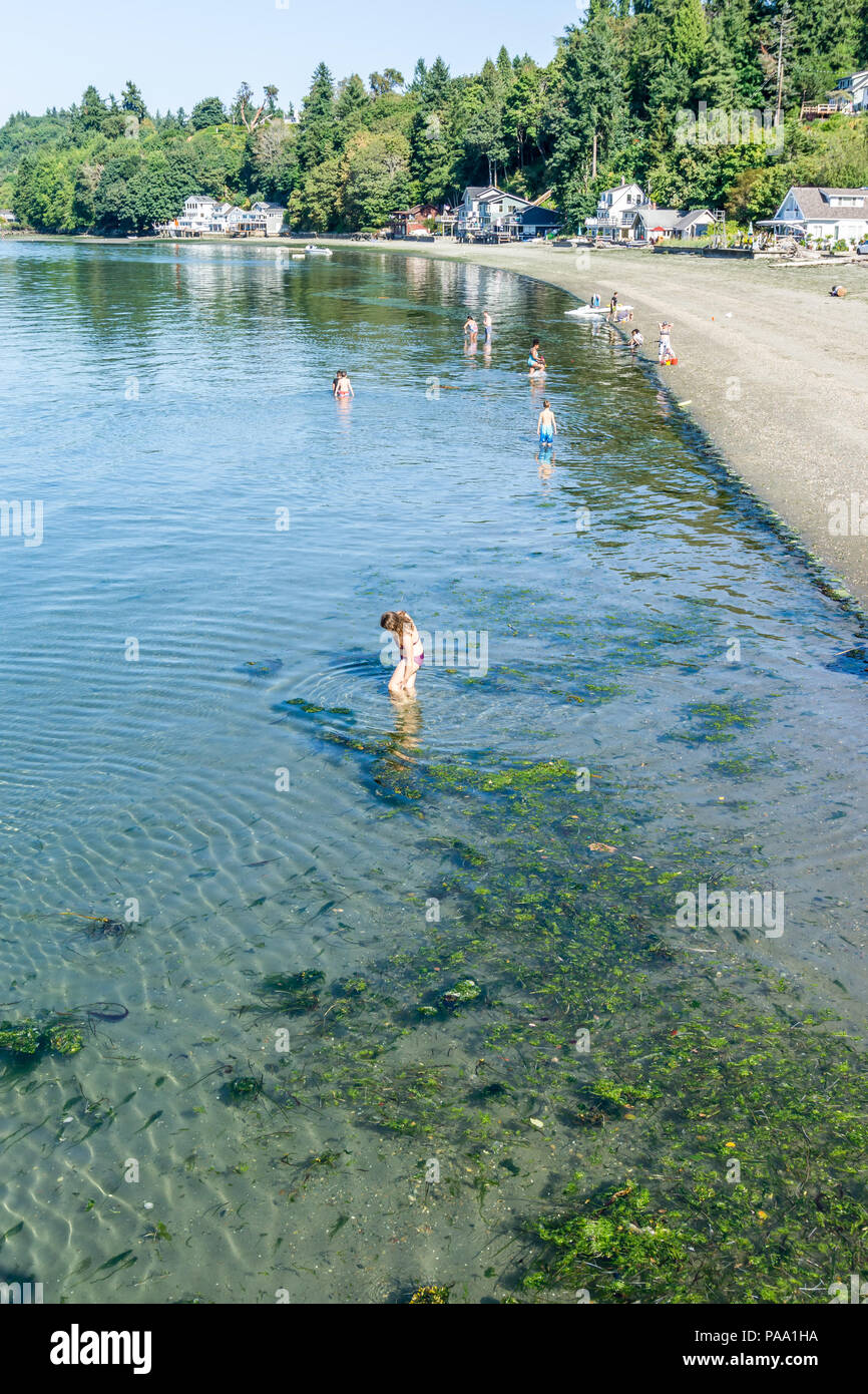 A view of the beach at Dash Point, Washington in summer Stock Photo - Alamy