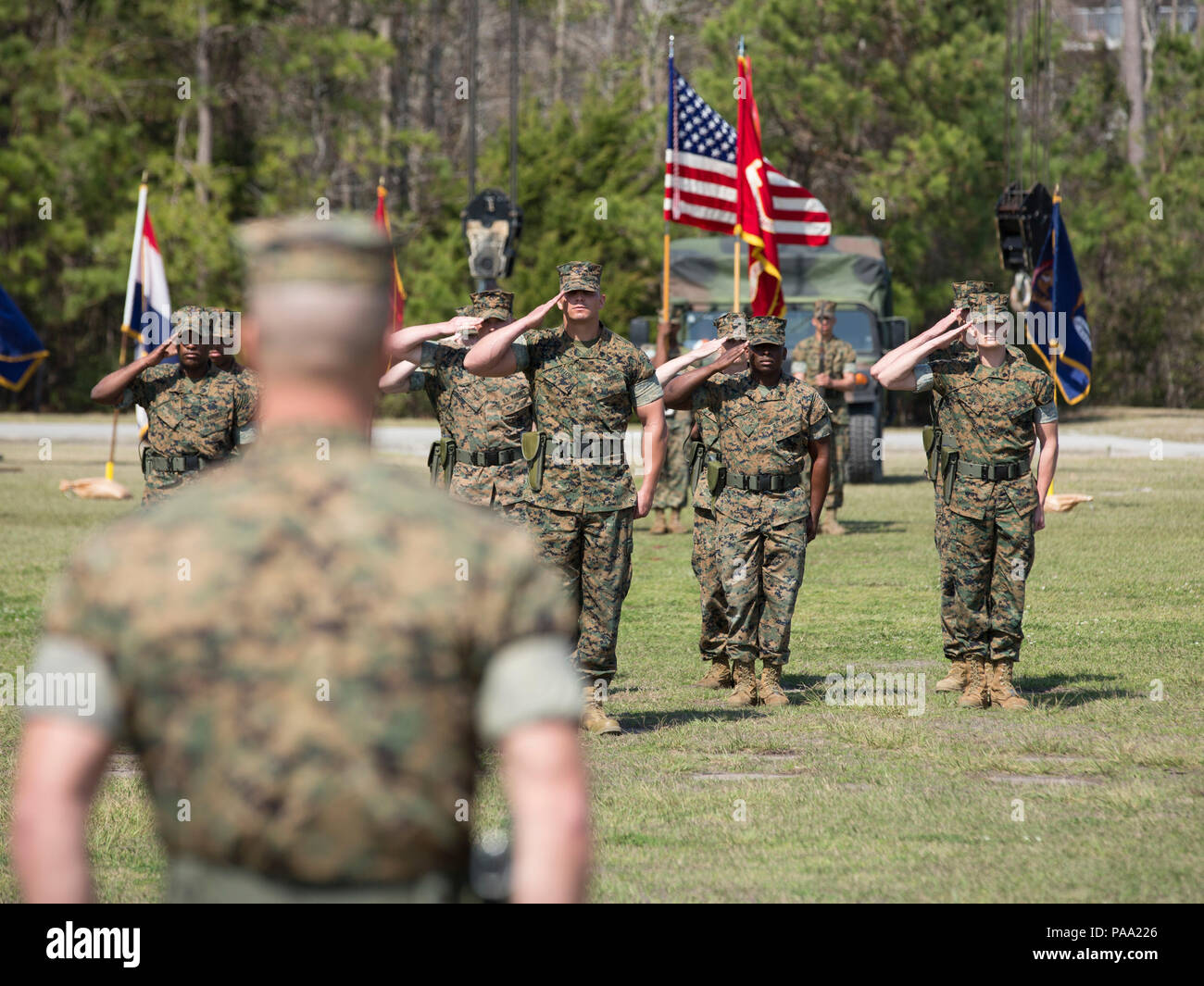 U.S. Marines with Combat Logistics Regiment 25 (CLR 25), salute Col ...