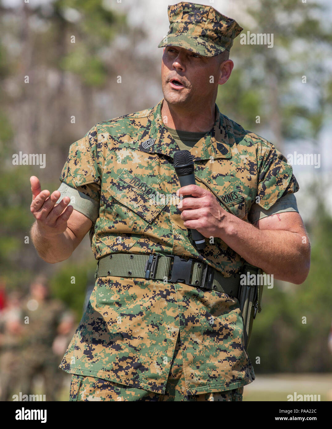 U.S. Marine Corps Sgt. Maj. Alex M. Dobson, Sergeant Major, Combat ...