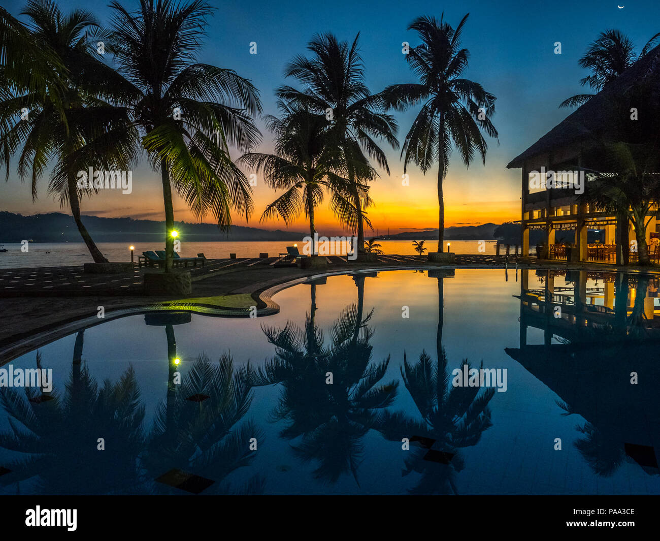 View with silhouettes of palm trees around luxury swimming pool during ...