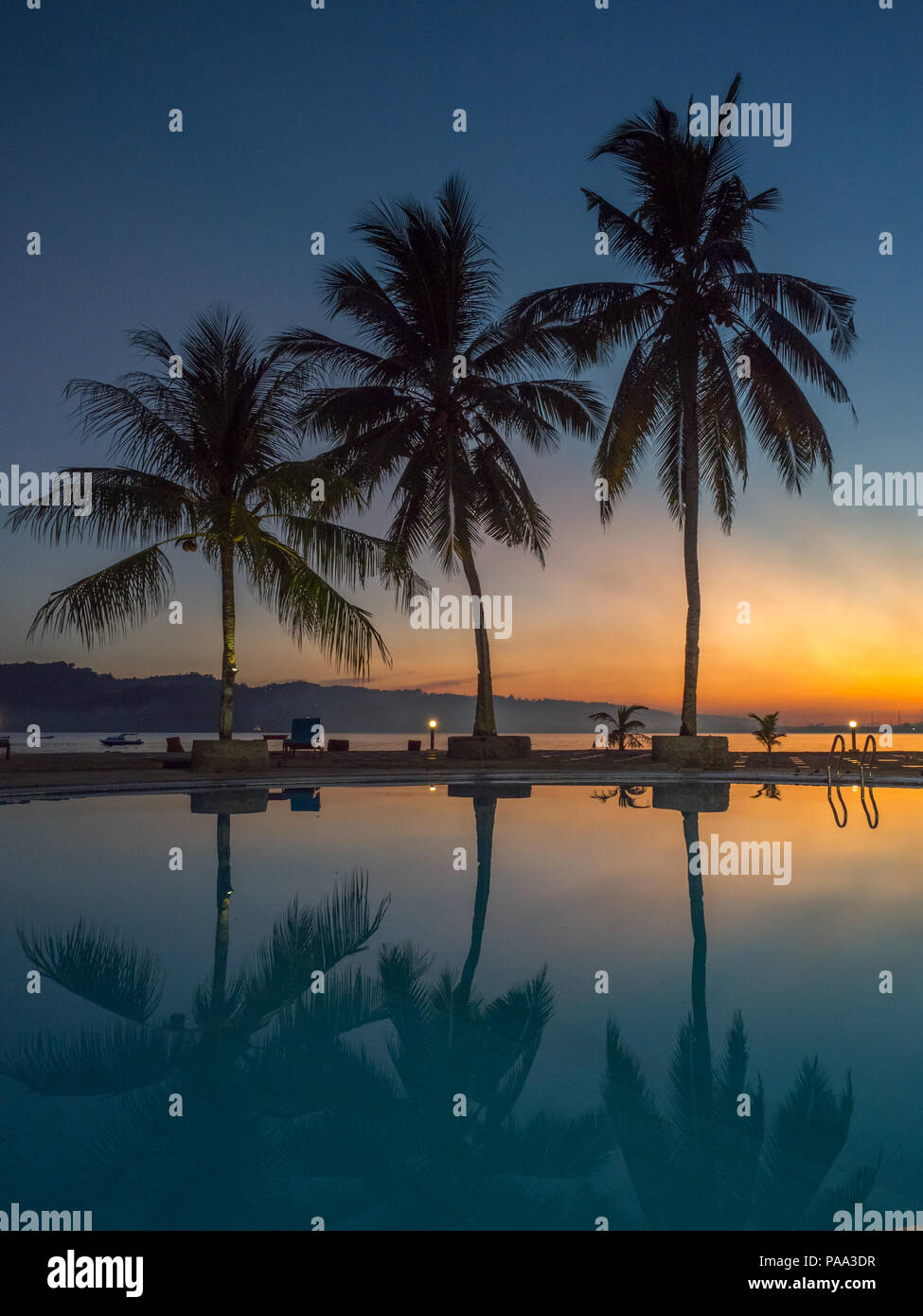 View with silhouettes of palm trees around luxury swimming pool during ...