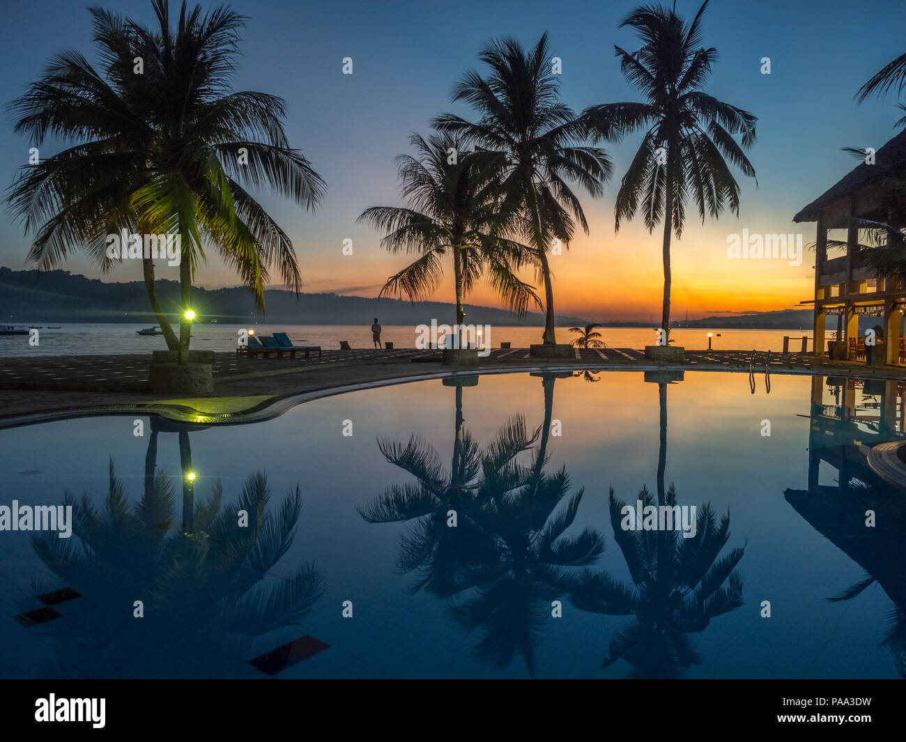 View with silhouettes of palm trees around luxury swimming pool during ...