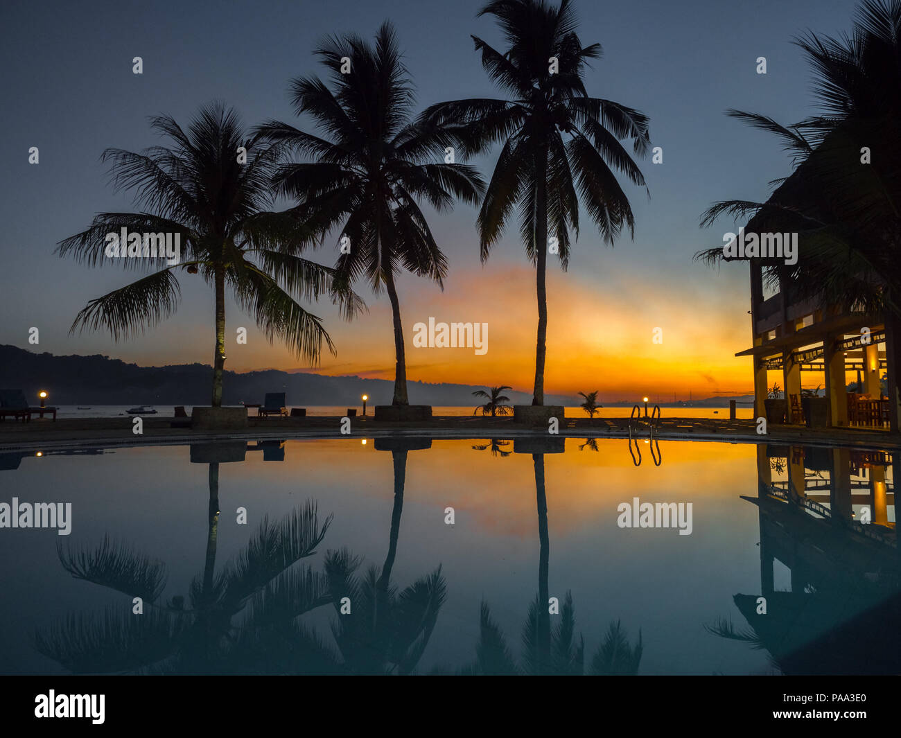 View with silhouettes of palm trees around luxury swimming pool during ...