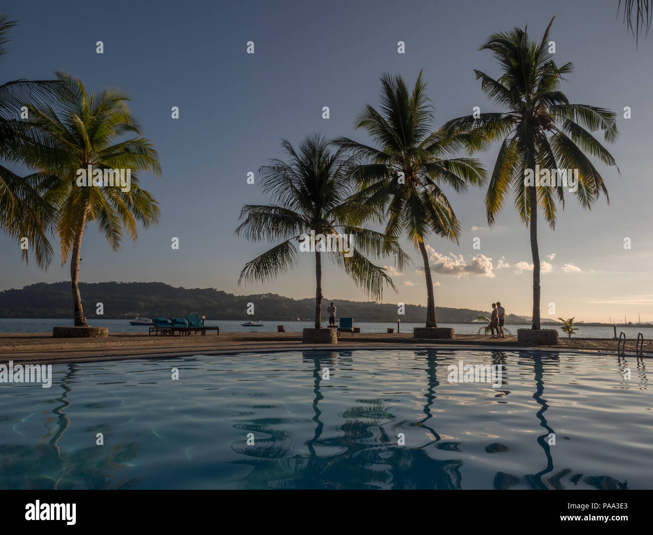 View with palm trees around luxury swimming pool during on the tropical ...