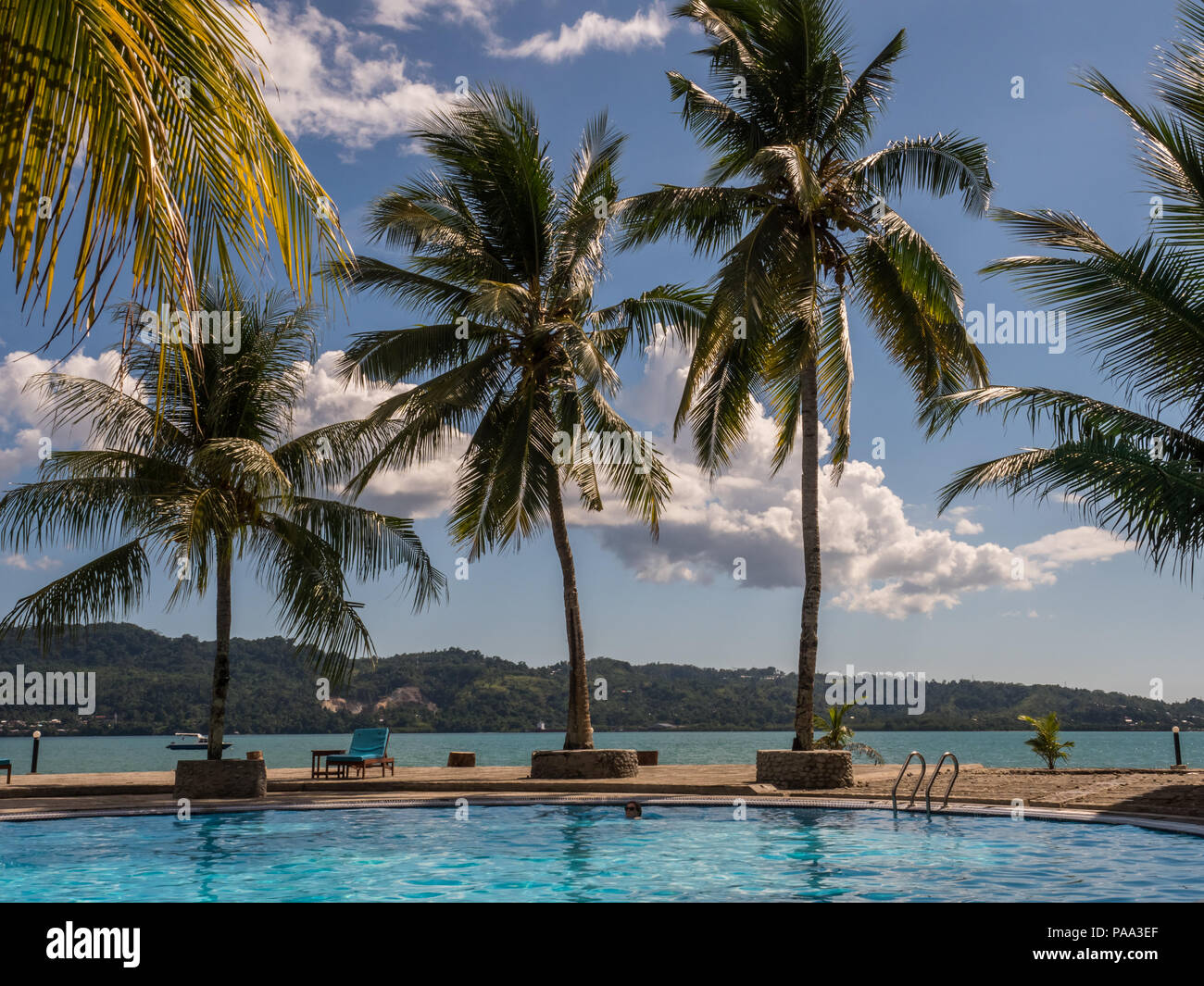 View with palm trees around luxury swimming pool during on the tropical ...