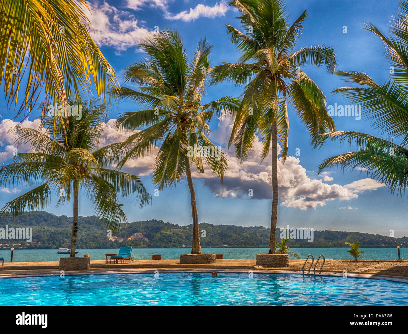 View with palm trees around luxury swimming pool during on the tropical ...