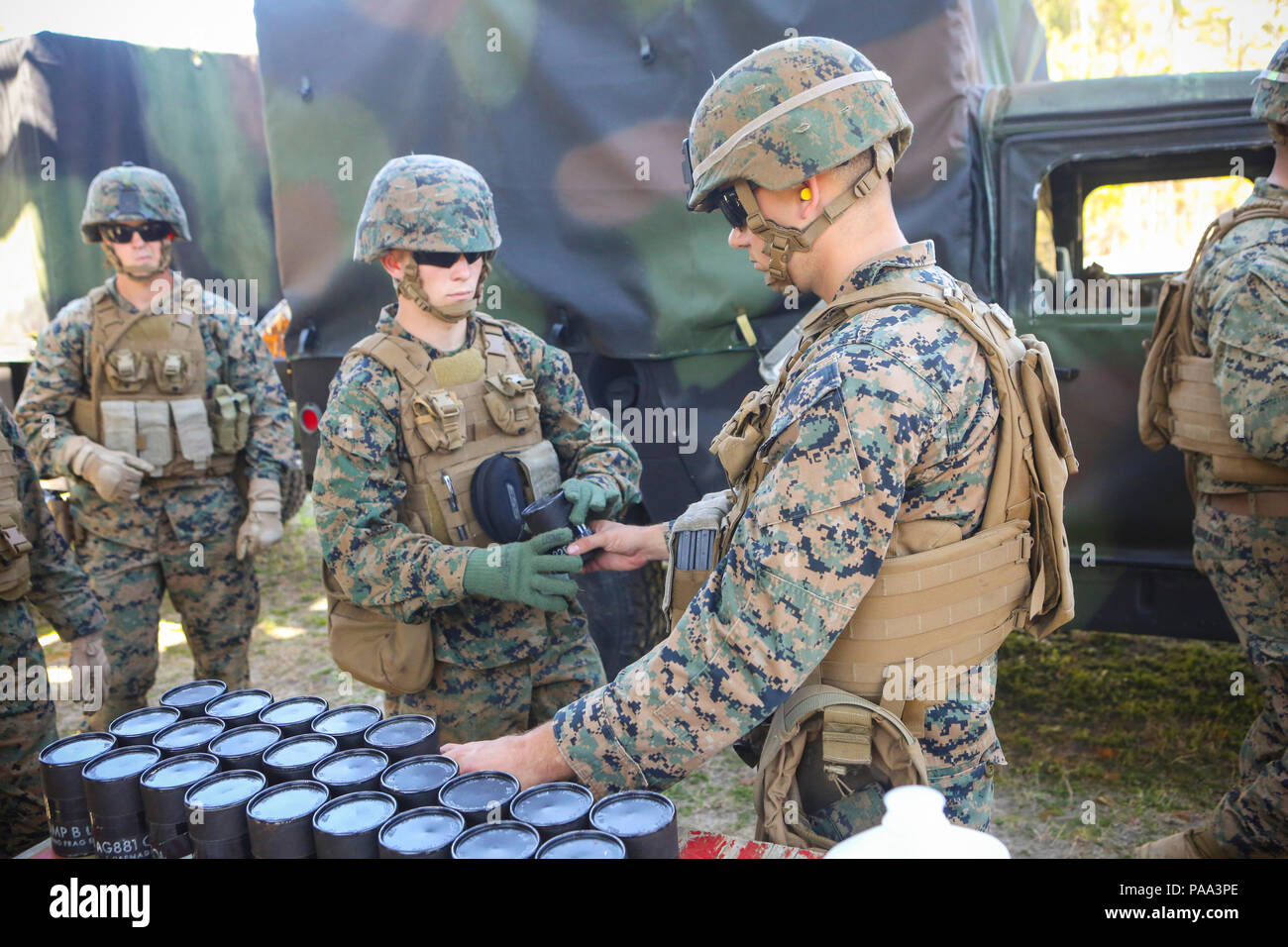 Marines with 2nd Law Enforcement Battalion receive their grenades ...