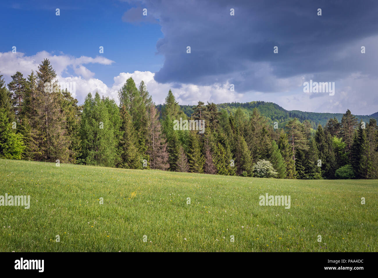 Slovensky raj hi-res stock photography and images - Alamy