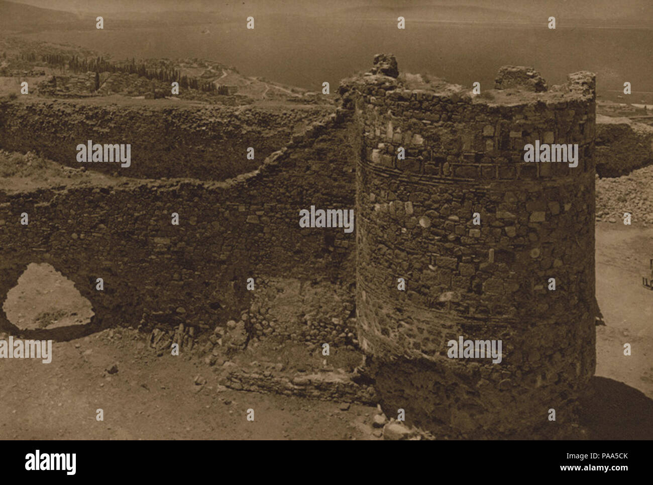 Pagus hi-res stock photography and images - Alamy