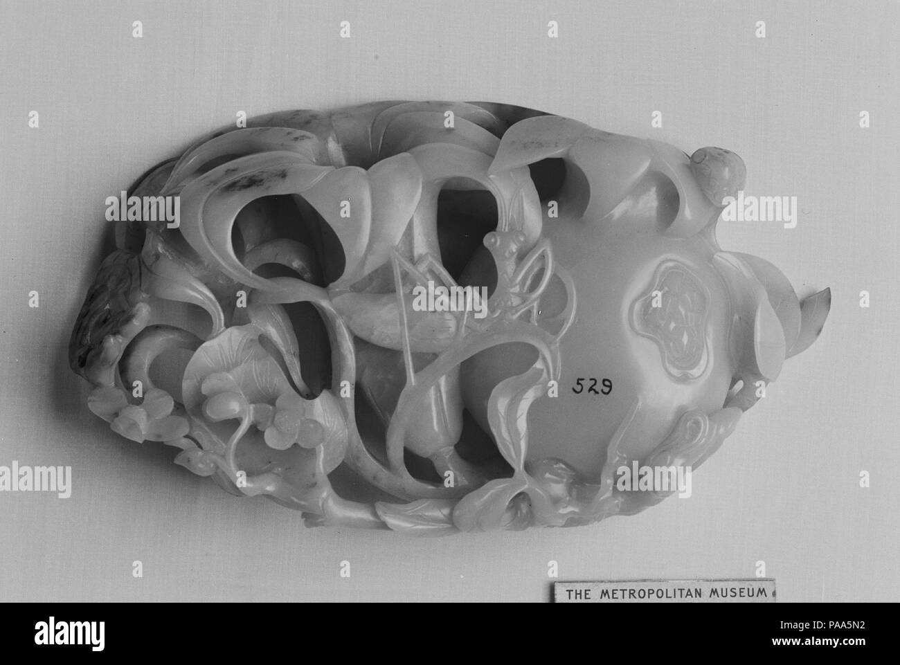 Receptacle of the flower Black and White Stock Photos & Images - Alamy