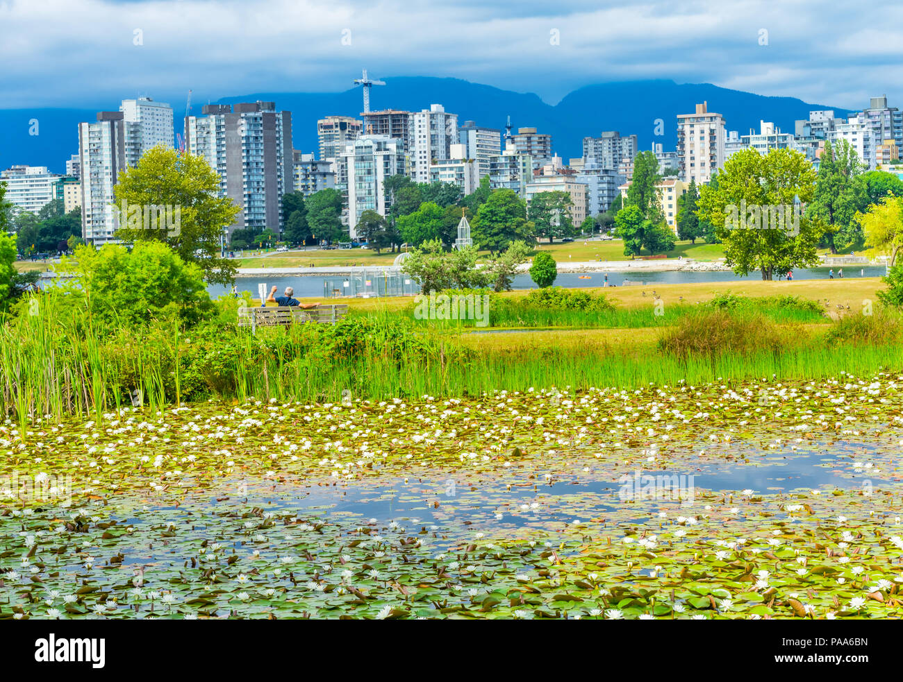 Lily pond mountain park hi-res stock photography and images - Alamy