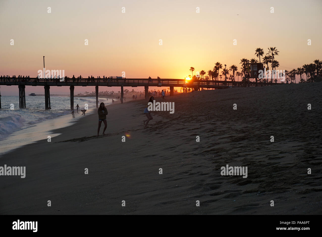 Balboa Trees High Resolution Stock Photography and Images - Alamy