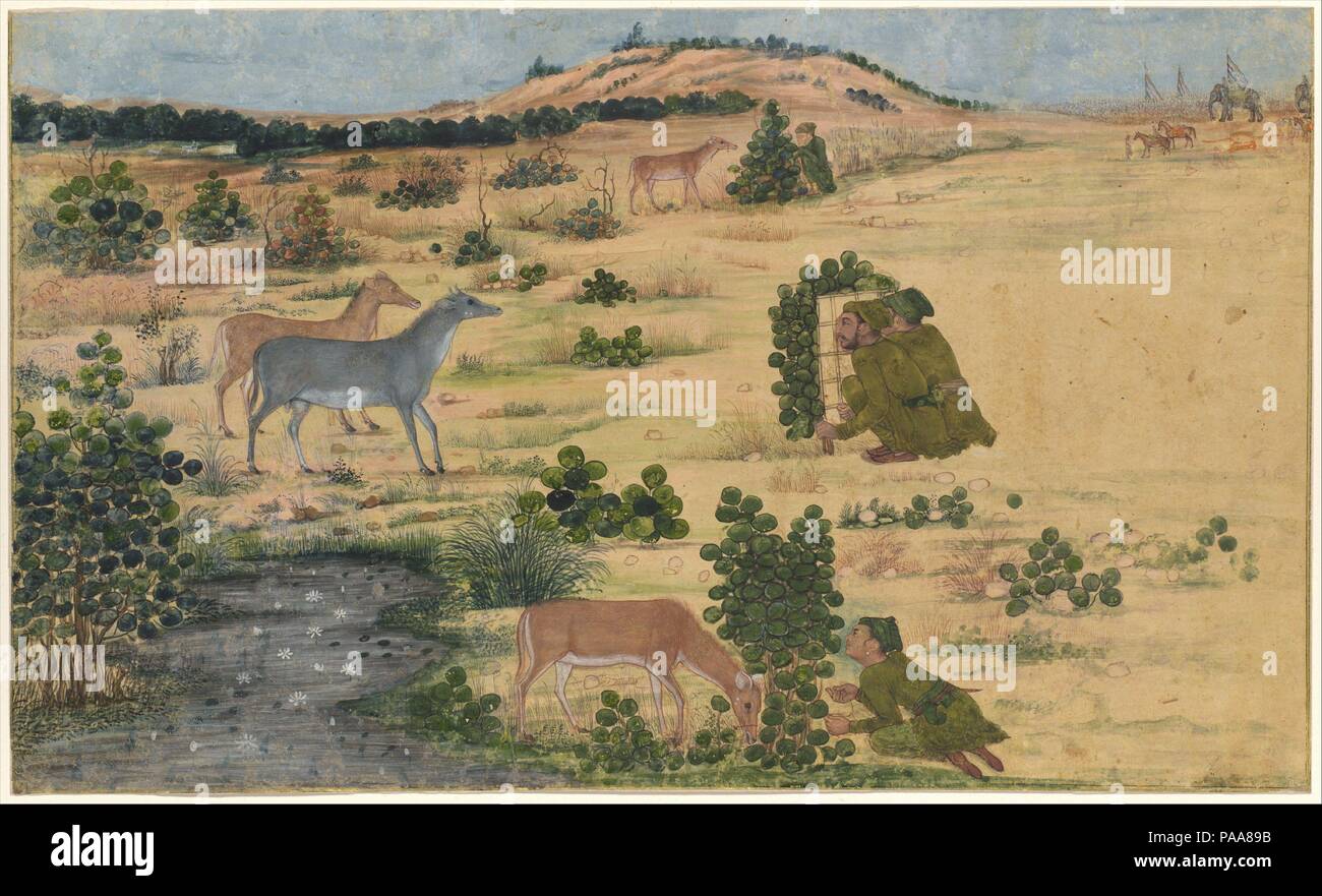 Four nilgais hi-res stock photography and images - Alamy