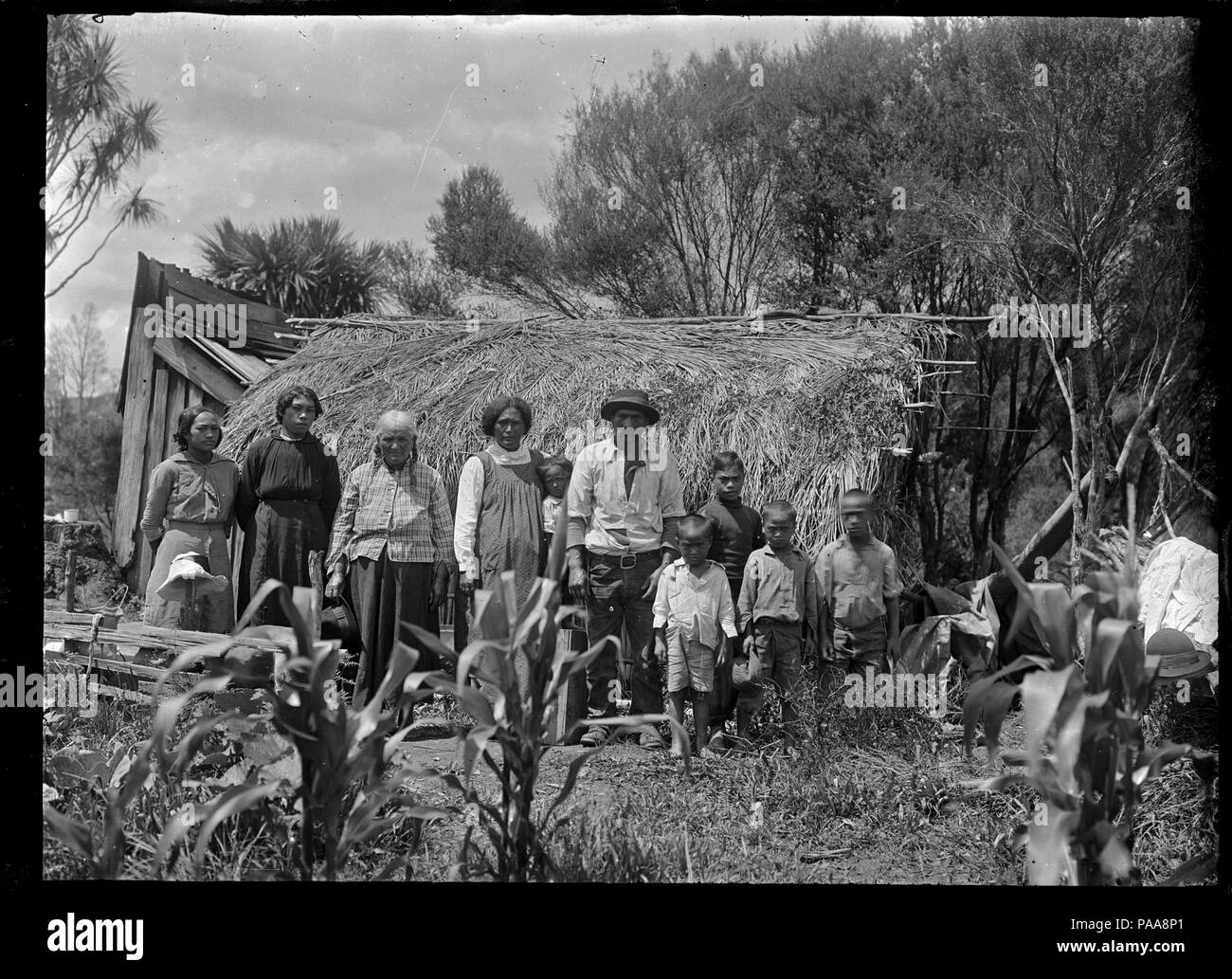 165 Maori family standing outside a whare thatched with palm fronds at ...