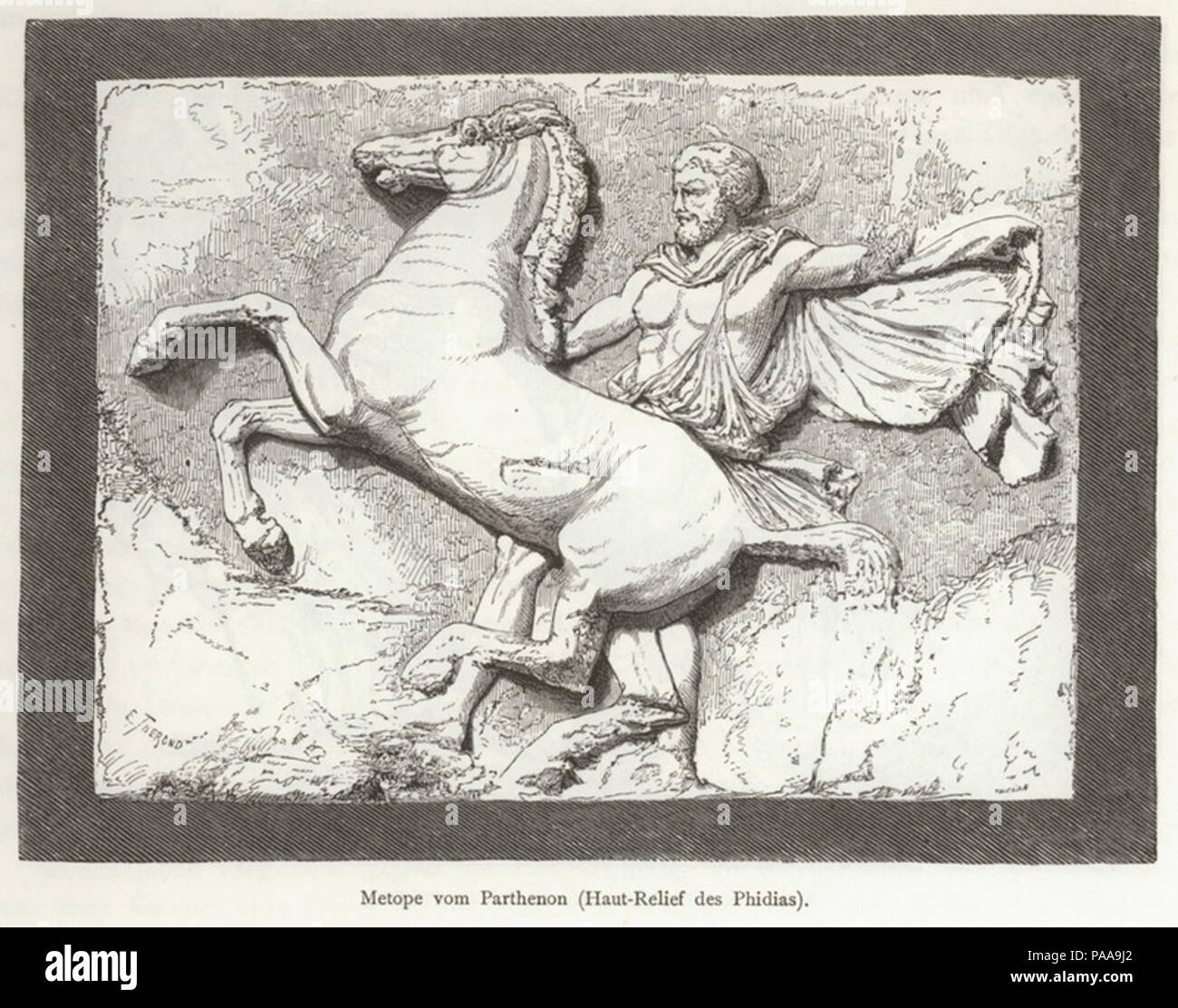 172 Metope von Parthenon (Haupt-Relief des Phidias) (2) - Schweiger ...