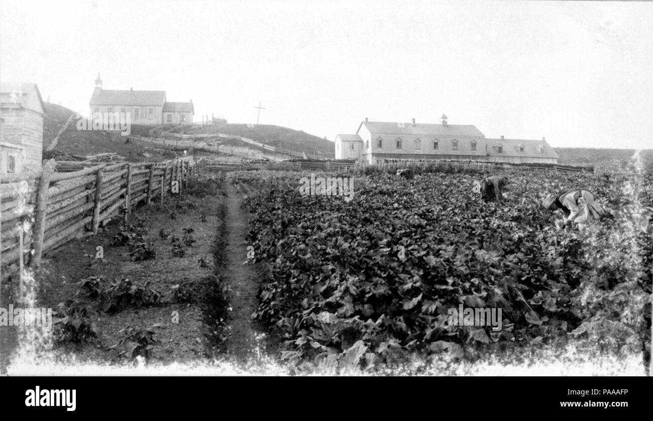 Mistassini hi-res stock photography and images - Alamy