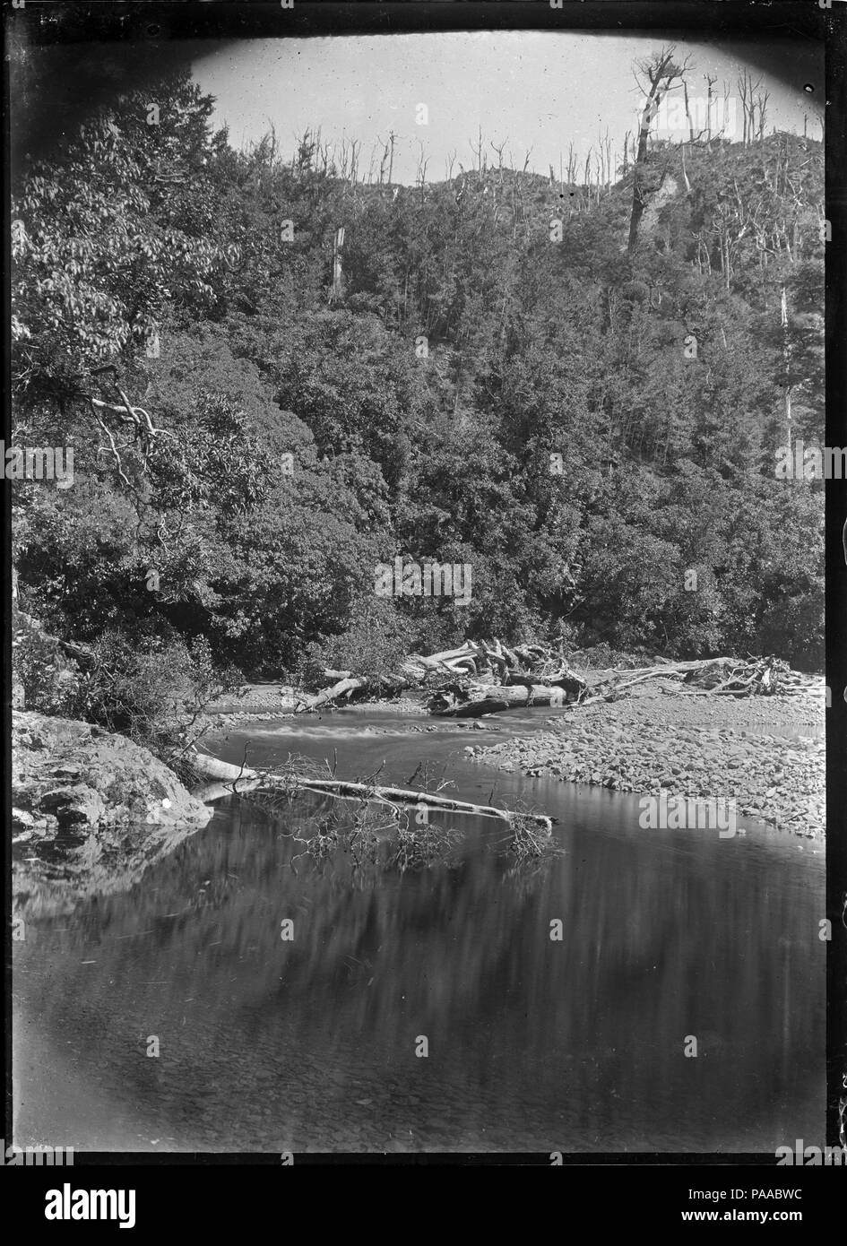 181 Native bush above a curve in a river. ATLIB 272782 Stock Photo - Alamy
