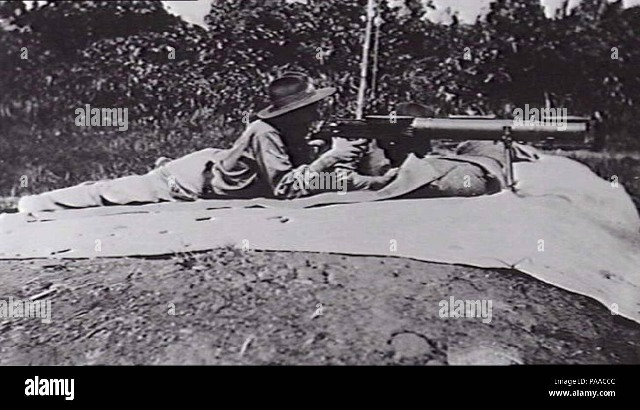 183 NGVR soldier firing Lewis gun 1940 (AWM P01283 009 Stock Photo - Alamy