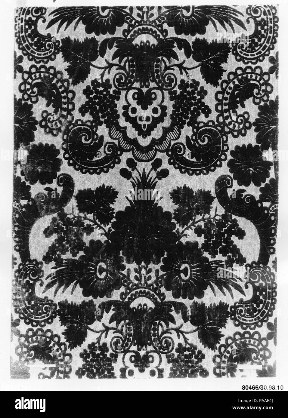 L 101 x w 20 inches hi-res stock photography and images - Alamy