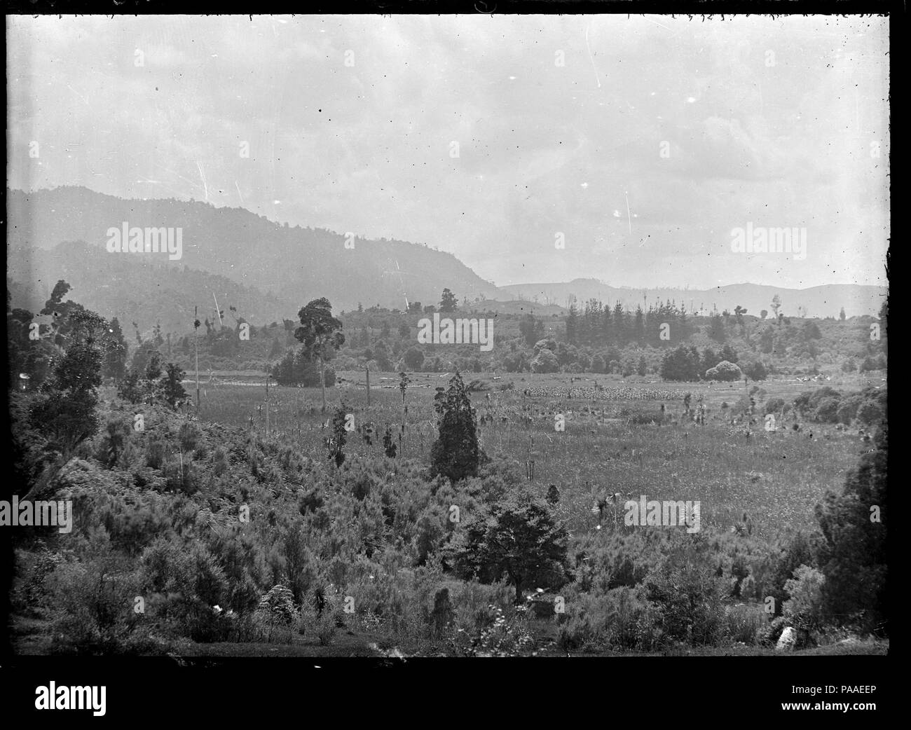 192 Part one of a two part image of the Waipapa River flat, 1918 ATLIB ...