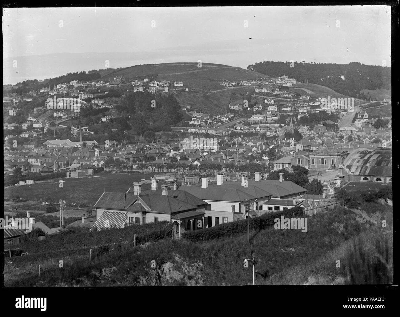 Dunedin panorama hi-res stock photography and images - Alamy