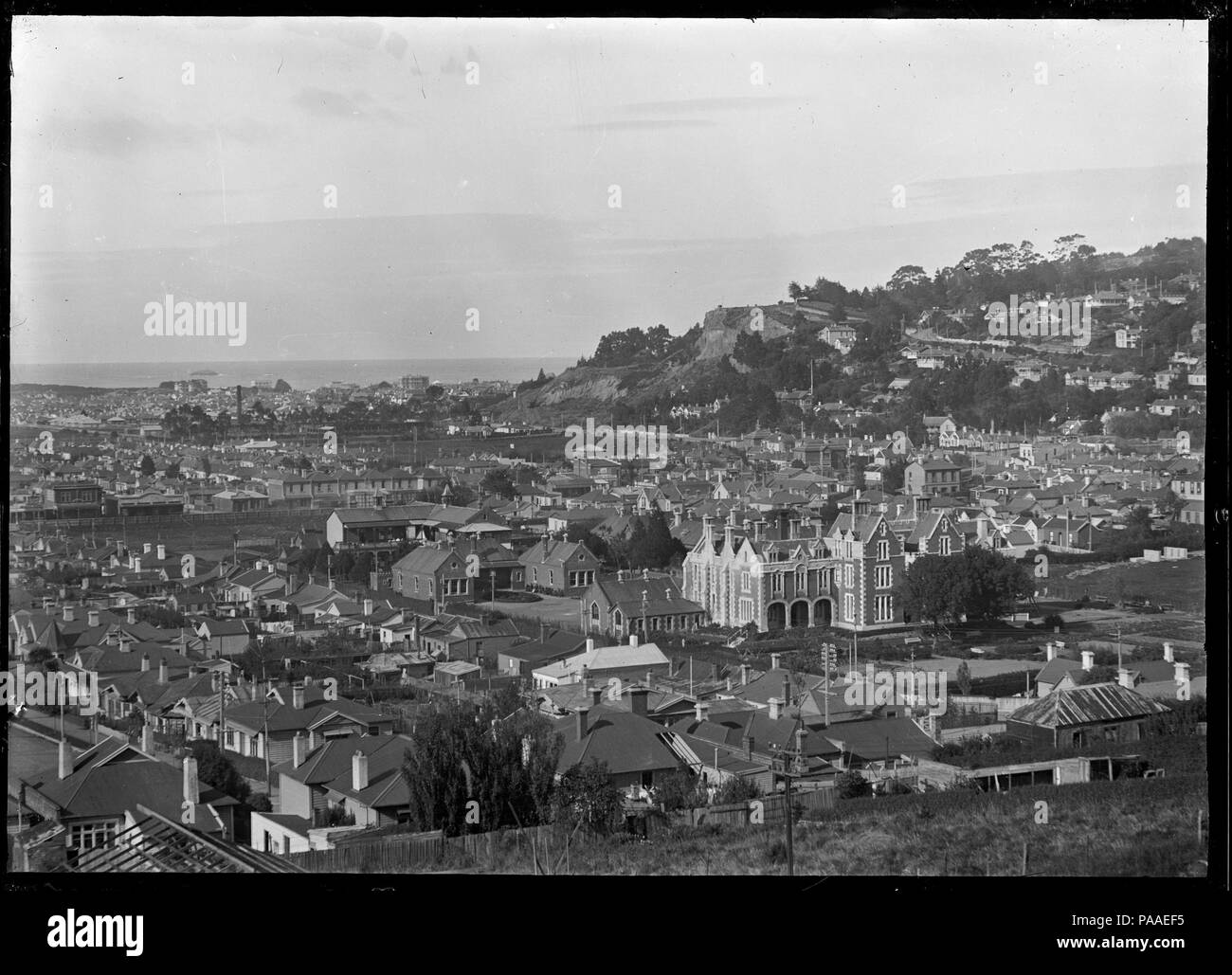 Dunedin panorama hi-res stock photography and images - Alamy