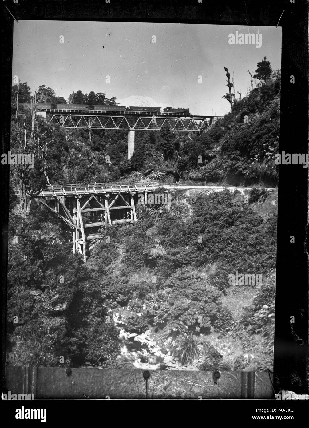 193 Passenger train, the Daylight Express, crossing the Manganui a te ...