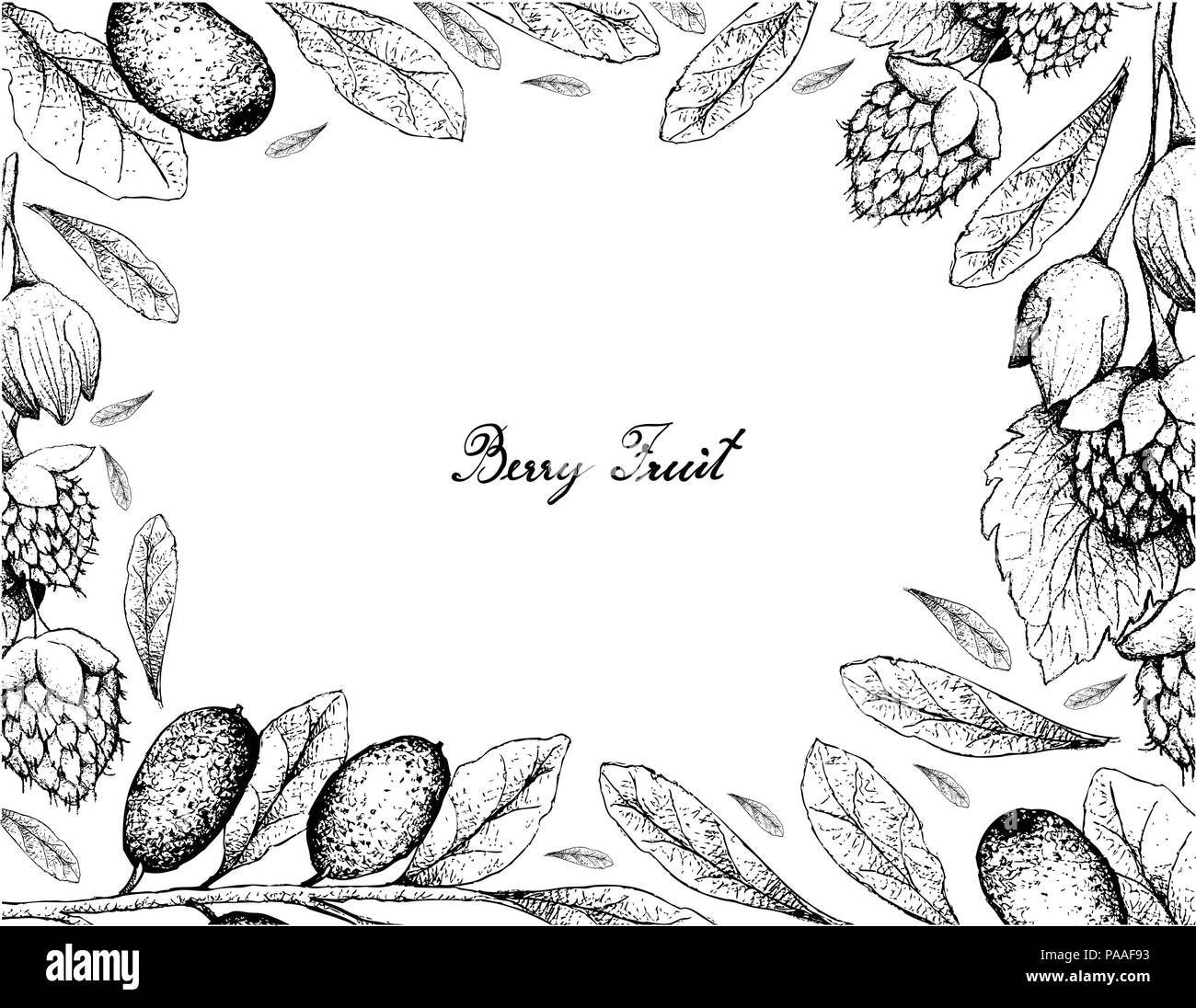 Silverberry tree fruits elaeagnus hi-res stock photography and images ...