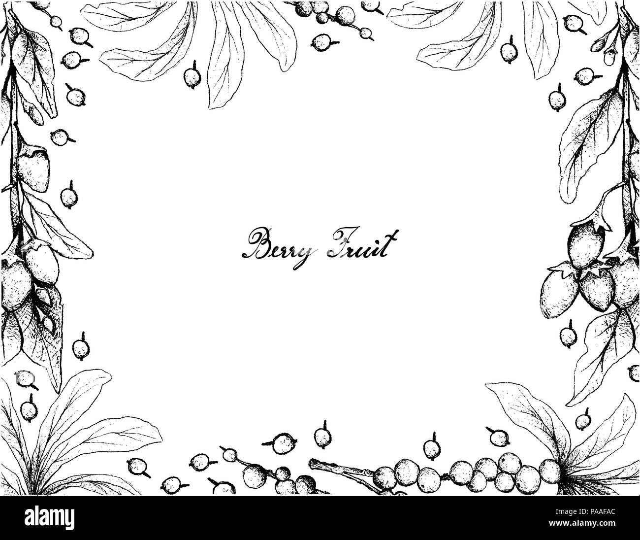 Daphne mezereum border Stock Vector Images - Alamy