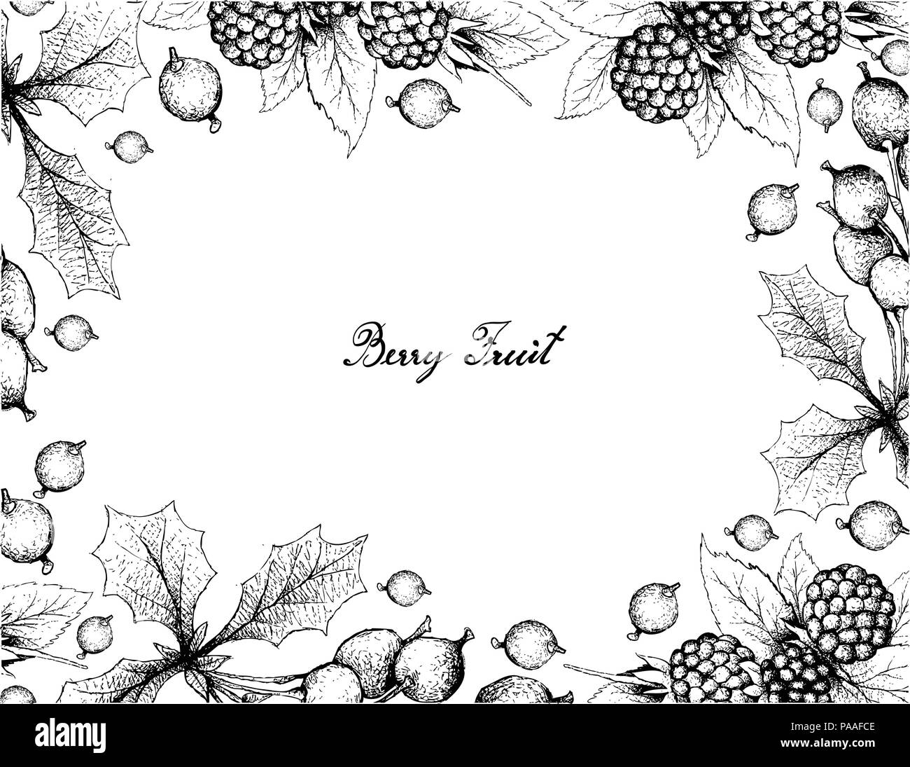Berry Fruit, Illustration Frame of Hand Drawn Sketch of Fresh ...