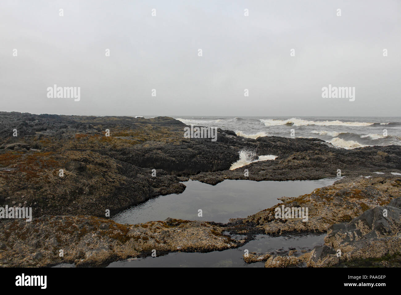 Tidal pools on the edge of the Oregon coast Stock Photo - Alamy