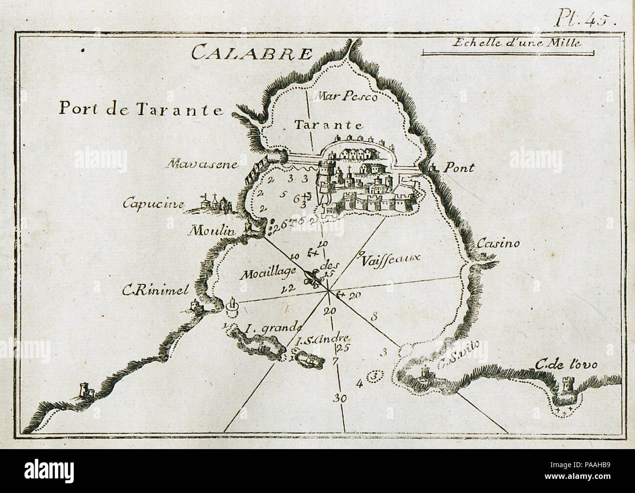 Tarante hi-res stock photography and images - Alamy