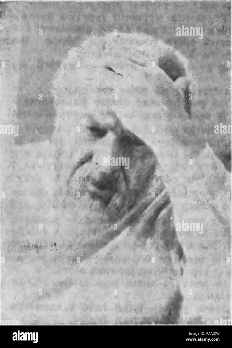 Wilczur hi-res stock photography and images - Alamy