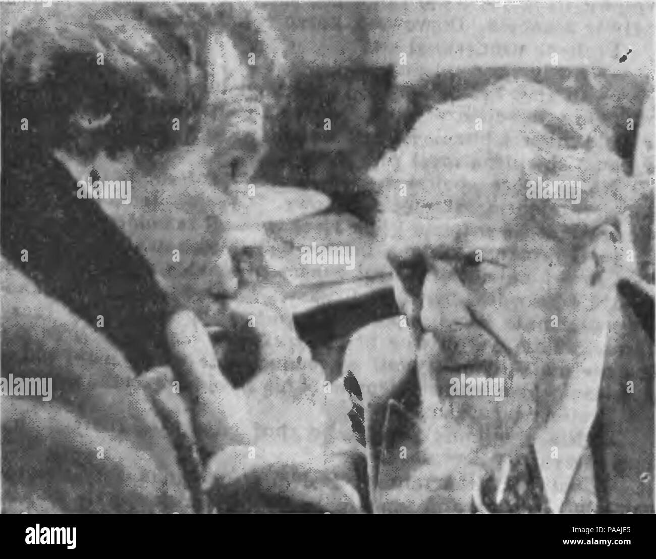 Wilczur hi-res stock photography and images - Alamy