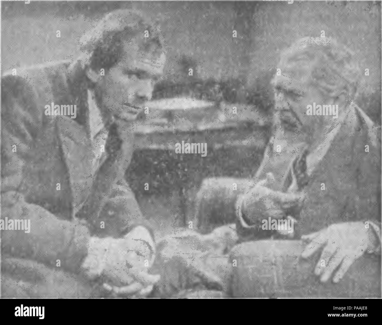 Wilczur hi-res stock photography and images - Alamy