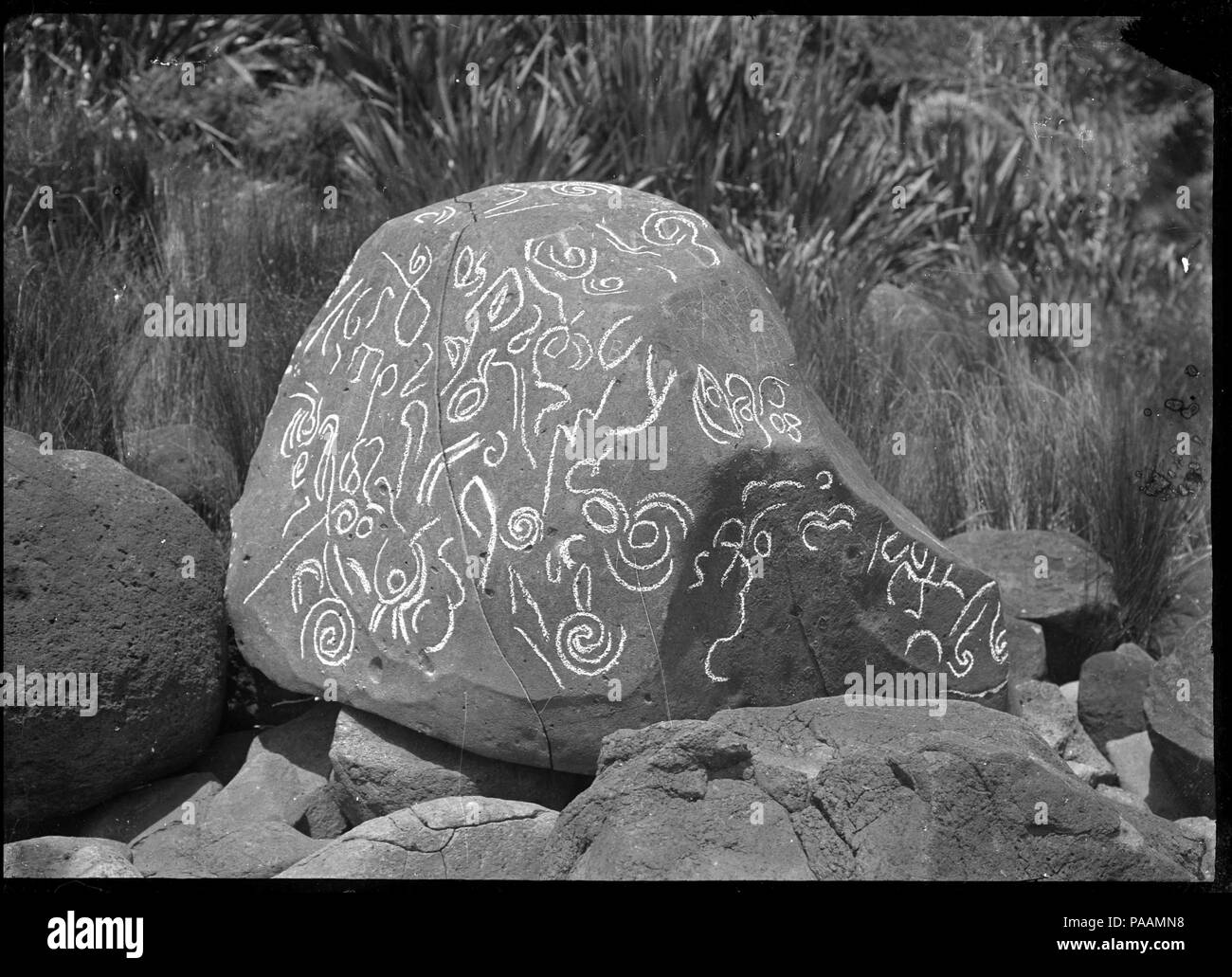 220 Rock with Maori markings, at Raglan ATLIB 198343 Stock Photo - Alamy