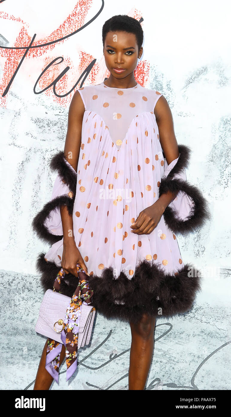 The Summer Party 2018 presented by Serpentine Galleries and Chanel ...