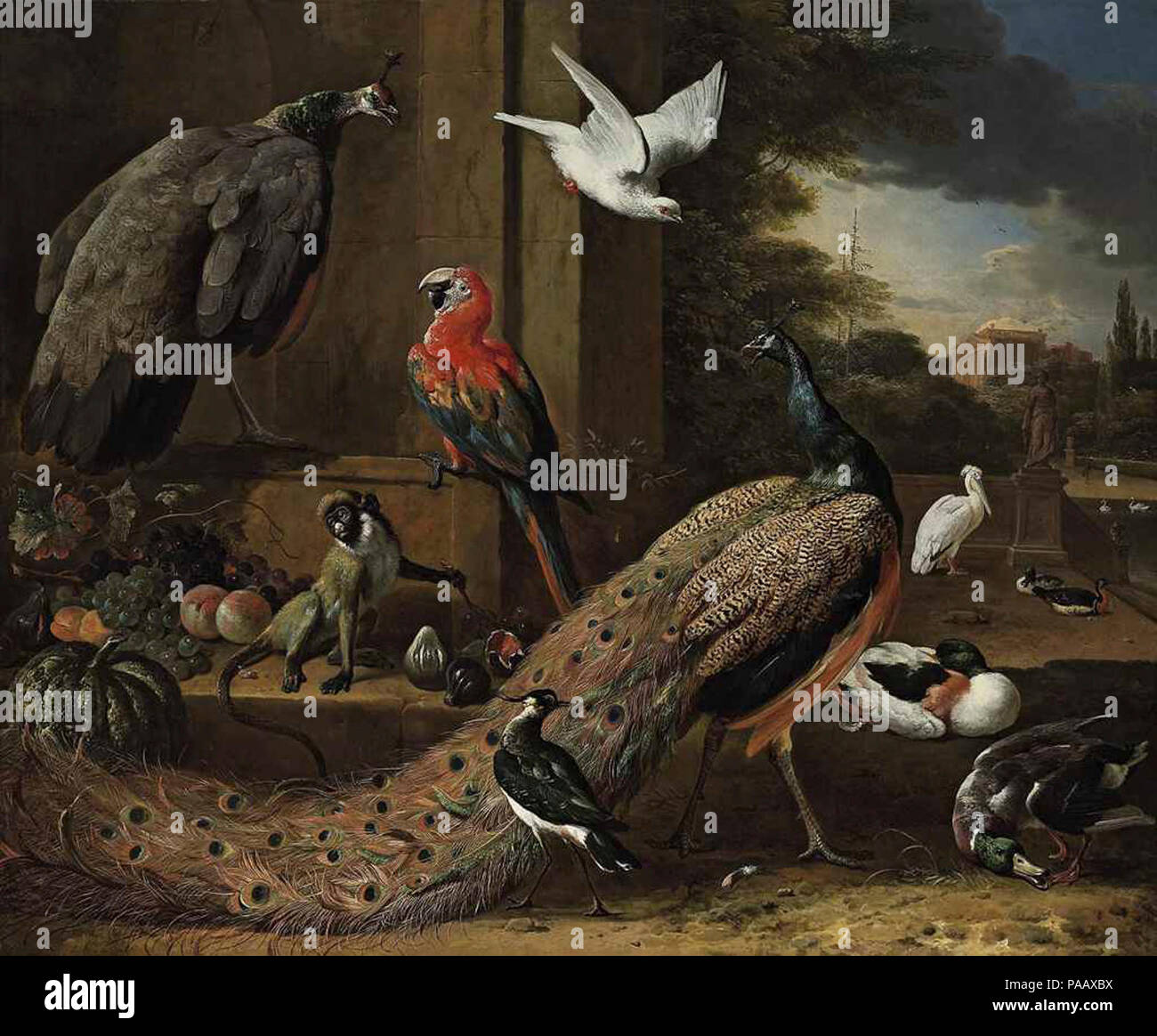 Peacock and other birds hi-res stock photography and images - Alamy