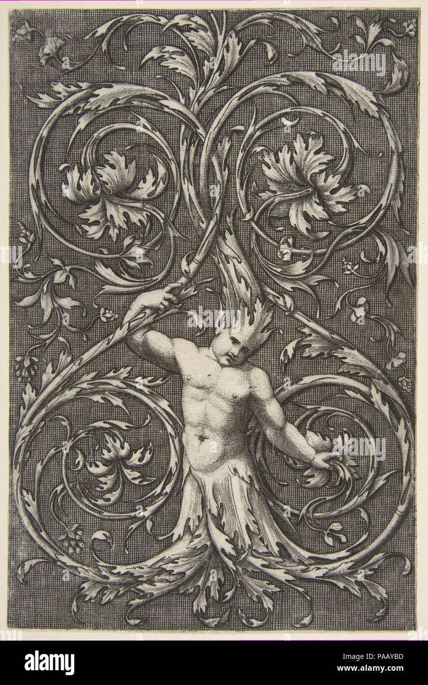 Grotesque with male figure with lower body and head of acanthus scrolls ...