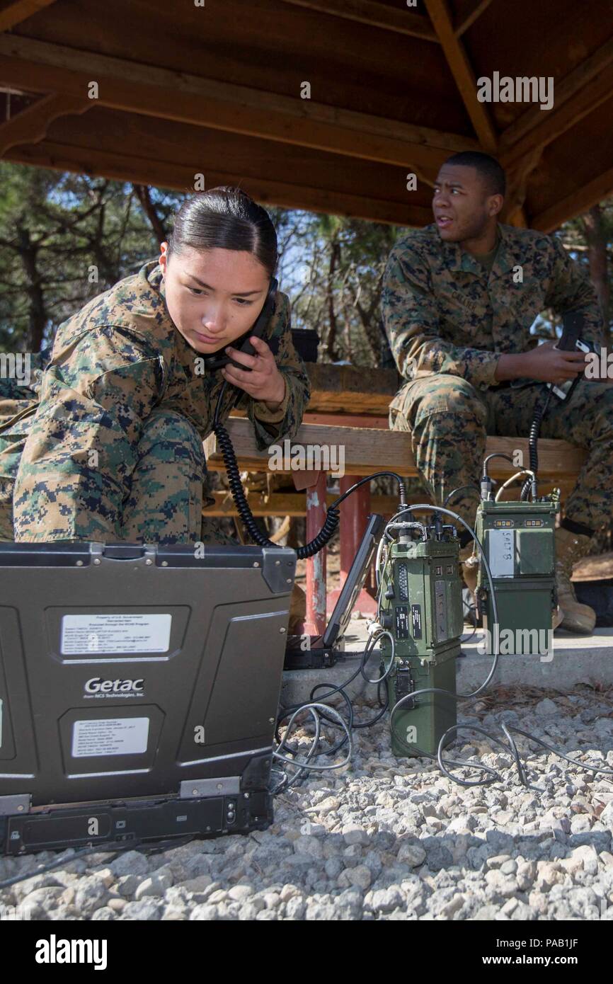 U.S. Marines with 5th Anglico, 3rd Marine Expeditionary Brigade set up ...