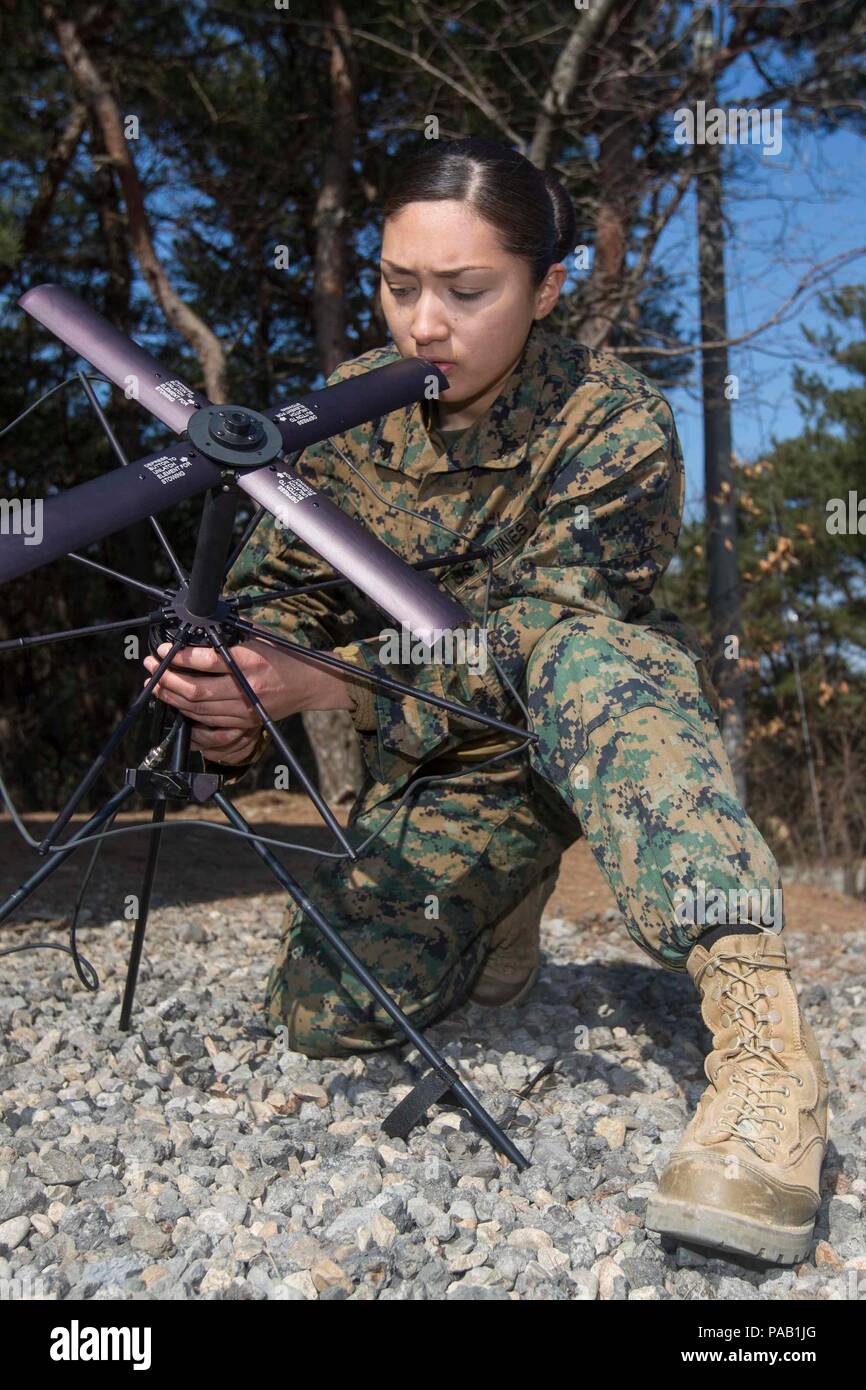 U.S. Marines with 5th Anglico, 3rd Marine Expeditionary Brigade set up ...