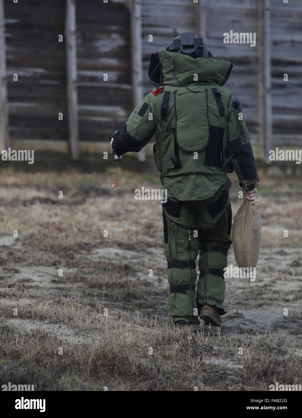 A Marine with Explosive Ordnance Disposal Platoon, Combat Logistics ...