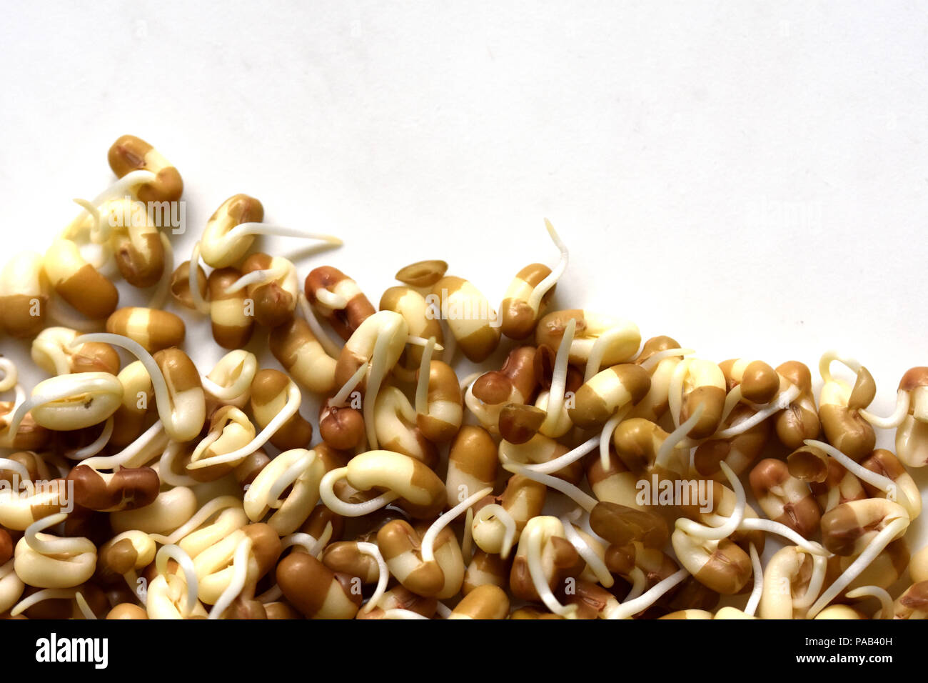 Top view of sprouted green gram on isolated white background Stock ...