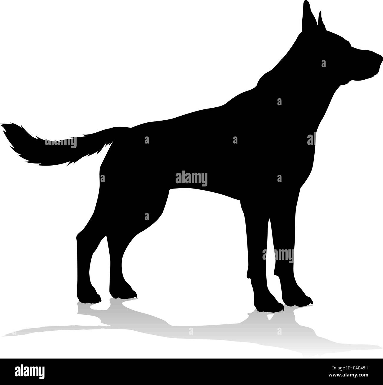 German shepherd alsatian black Black and White Stock Photos & Images ...