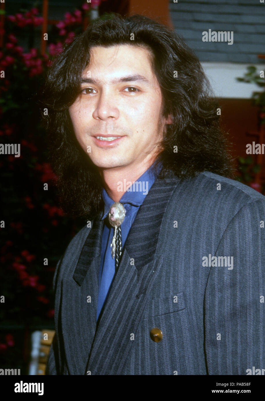 HOLLYWOOD, CA - MARCH 28: Actor Lou Diamond Phillips attends the ...