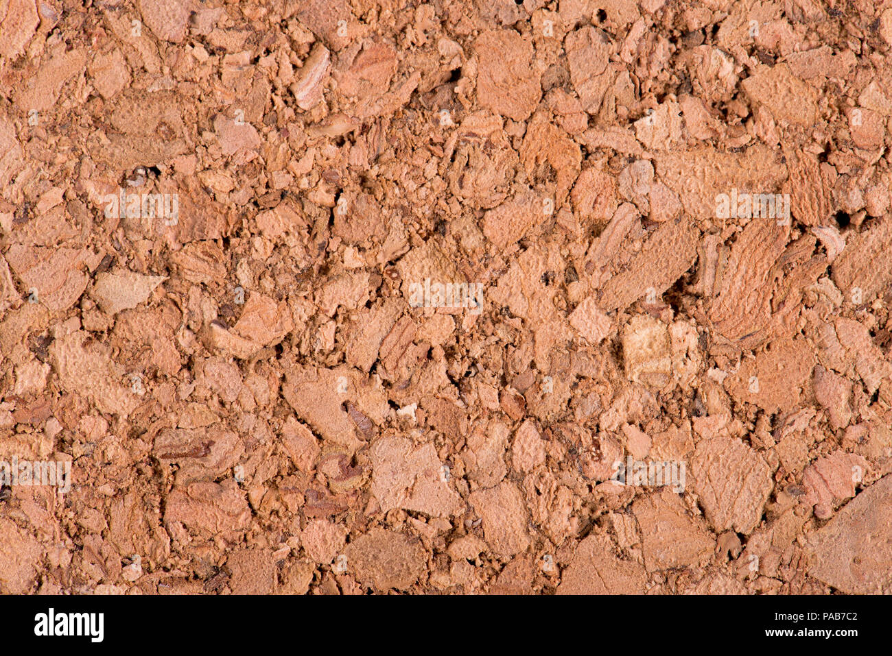 Natural pith a texture a background Stock Photo - Alamy