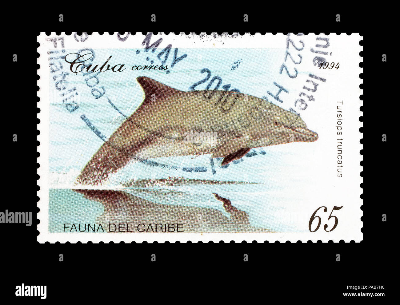 Cancelled postage stamp printed by Cuba, that shows Common Bottle nose ...