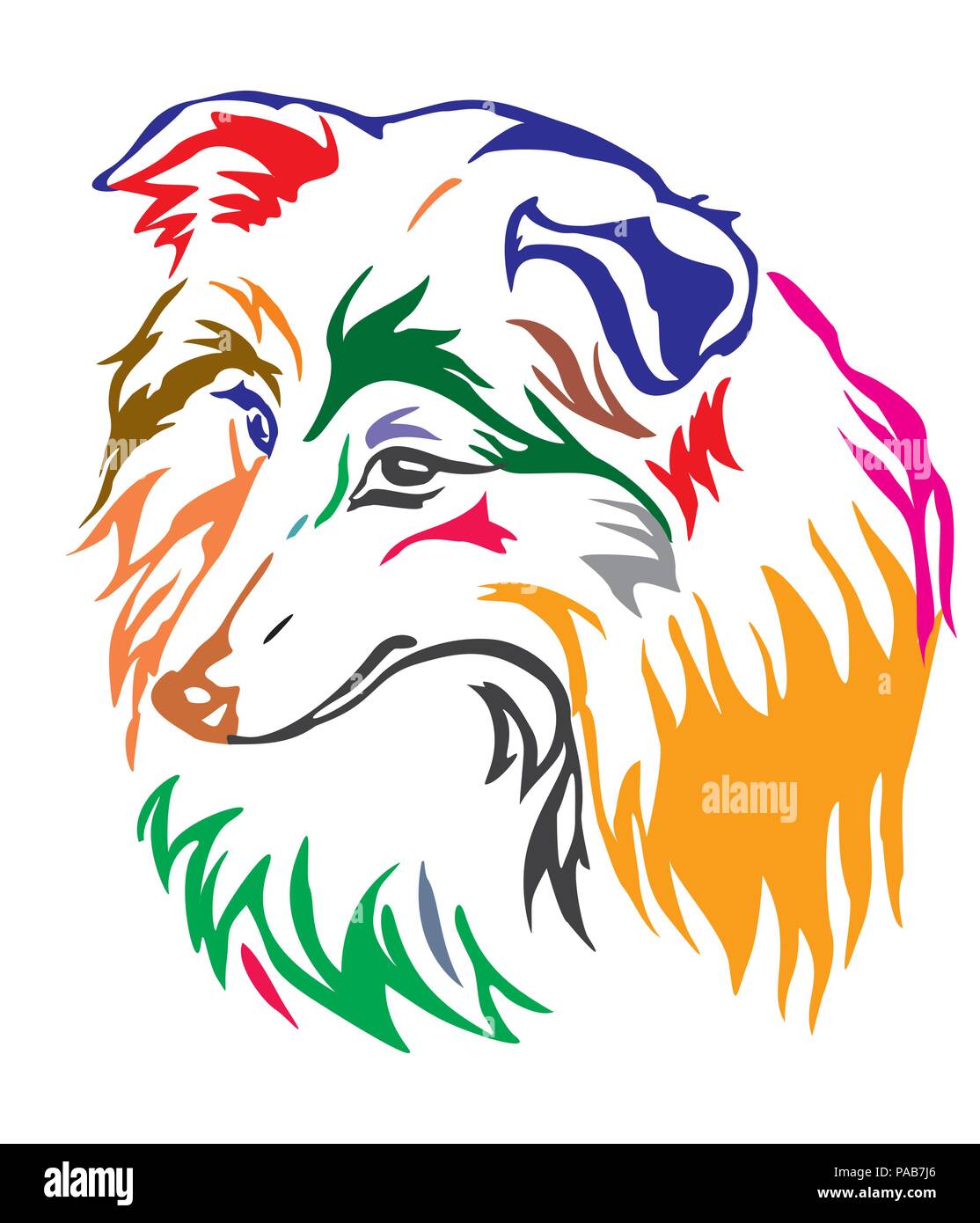 Colorful decorative portrait of dog Shetland Sheepdog ( Sheltie ...